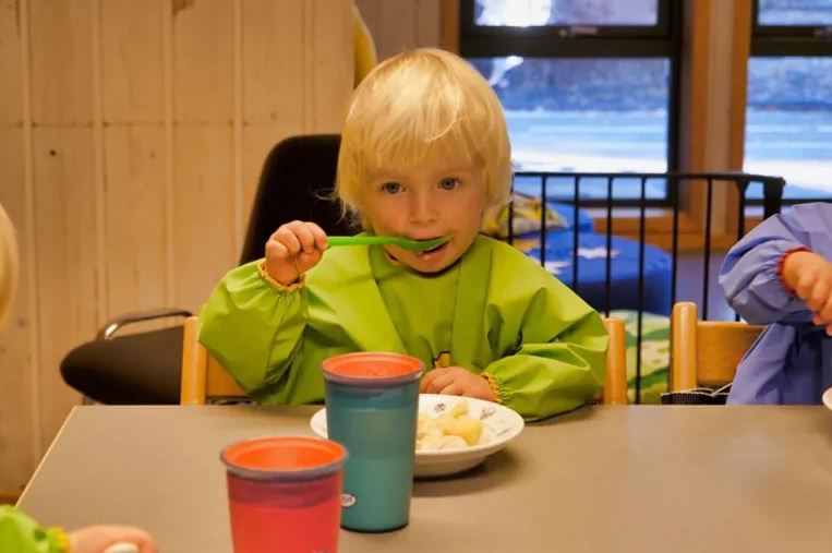 Matallergi i skular og barnehagar - Helse Bergen HF